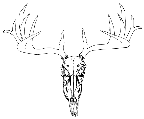 crazy mishka | Upcycling Creativity by Michéle Sommerauer